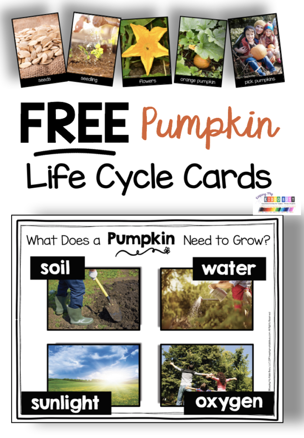 16 Free Pumpkin Activities - The Kinder Life
