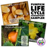 16 Free Pumpkin Activities - The Kinder Life